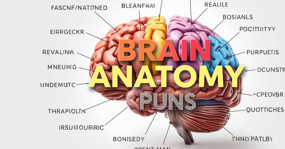 190+ funny brain jokes to Tickle Your Grey Matter